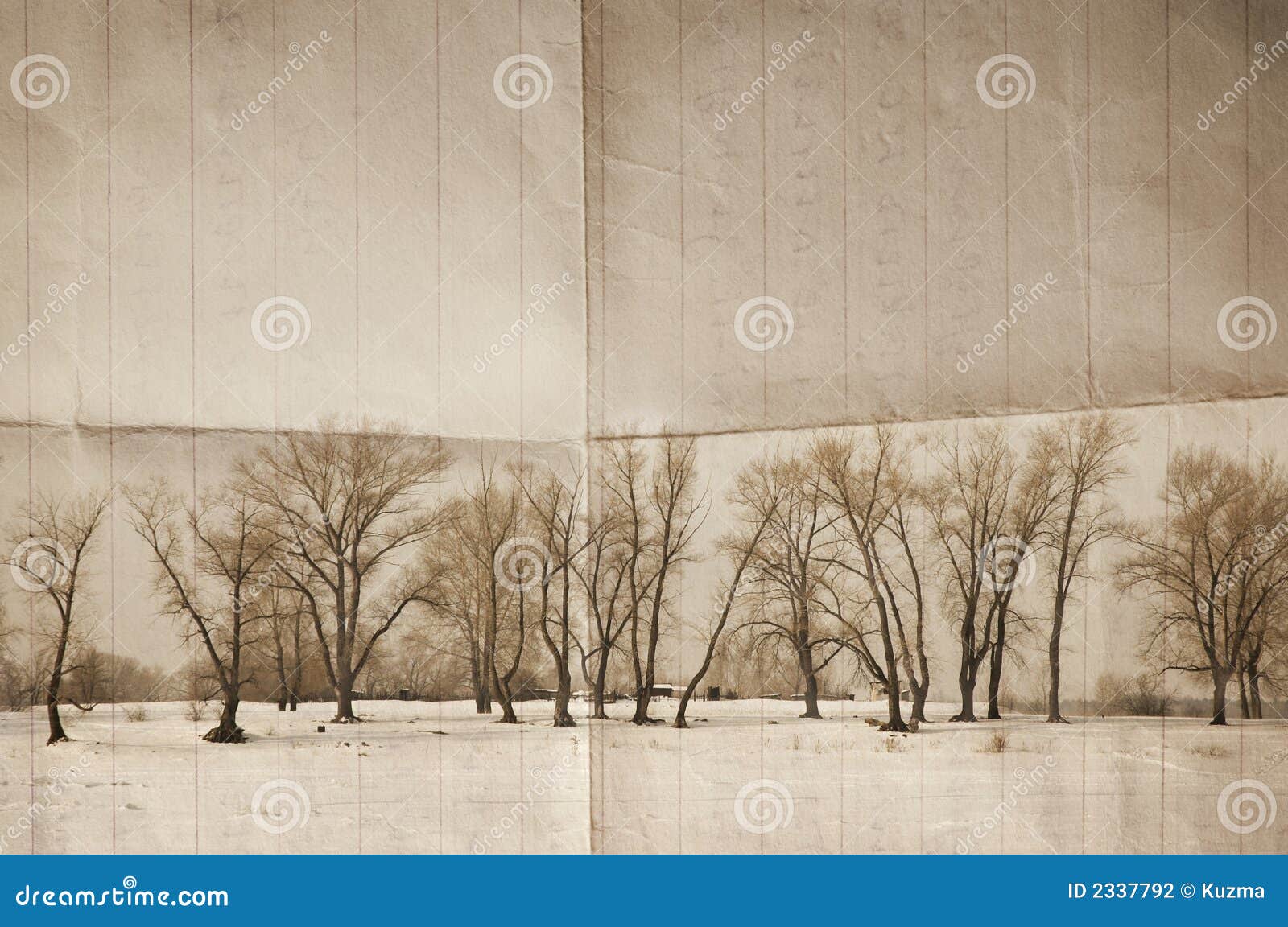 Winter bg stock photo. Image of february, line, north - 2337792