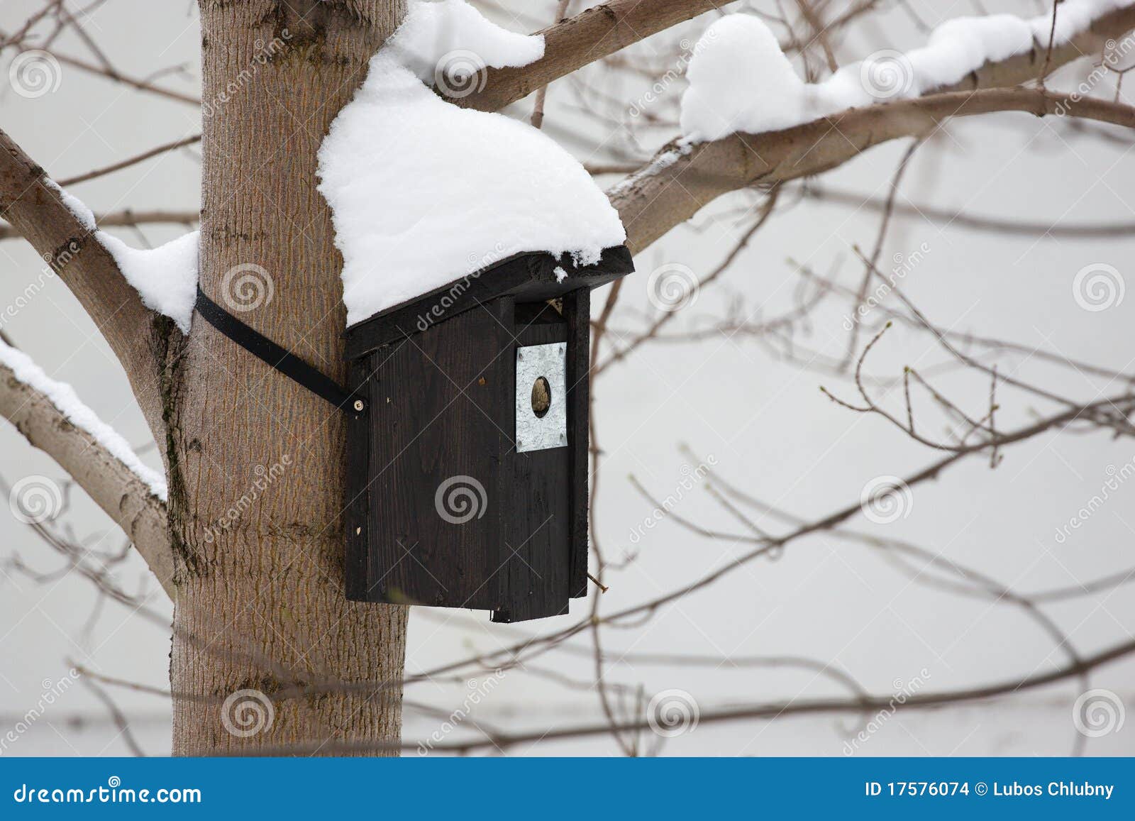 Winter bird house stock photo. Image of park, wood, shelter - 17576074