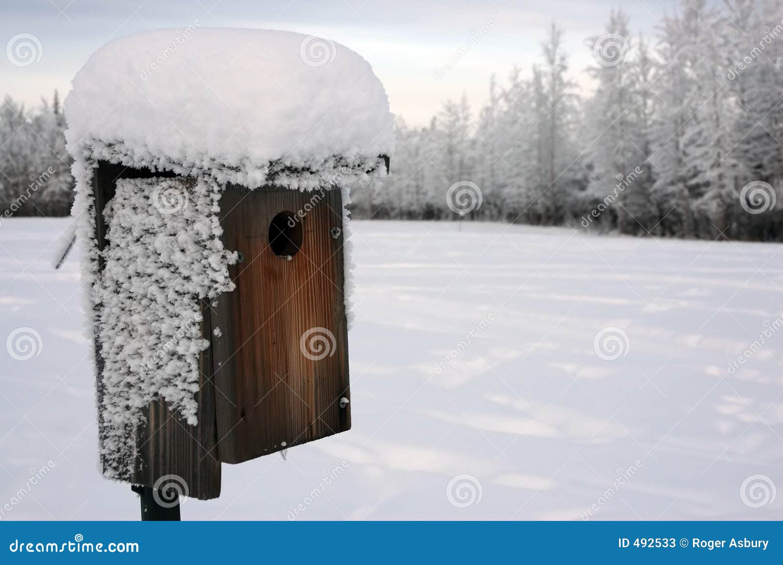 Winter bird house stock image. Image of conservation, bird - 492533