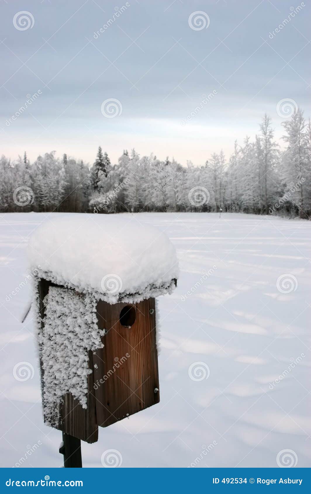Winter bird house stock photo. Image of birdhouse, conservation - 492534