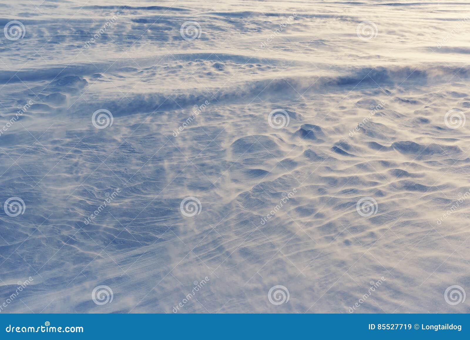 Winter Blizzard with Strong Blowing Wind Stock Image - Image of snow ...