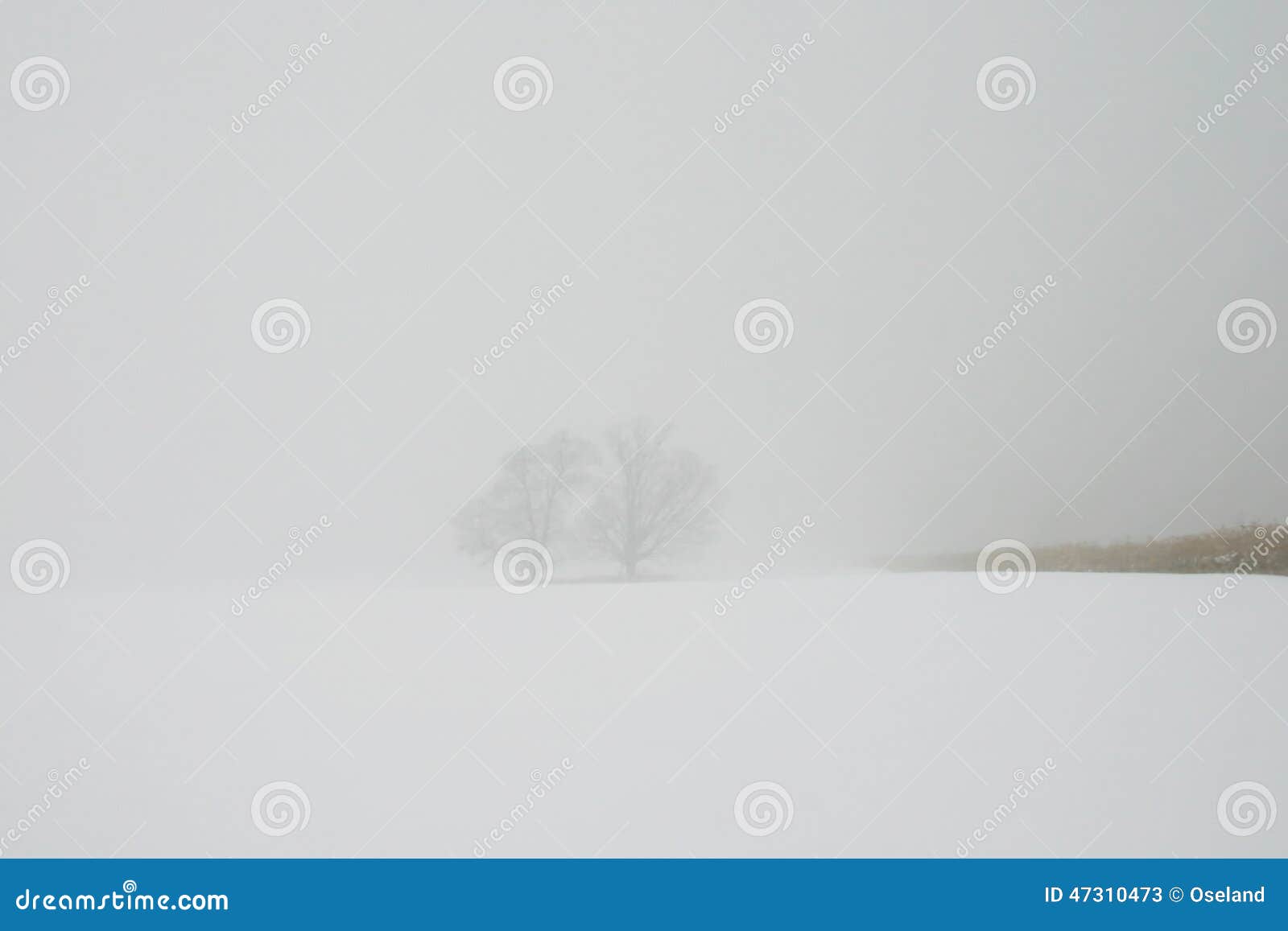 Winter Blizzard Whiteout stock image. Image of winter - 47310473