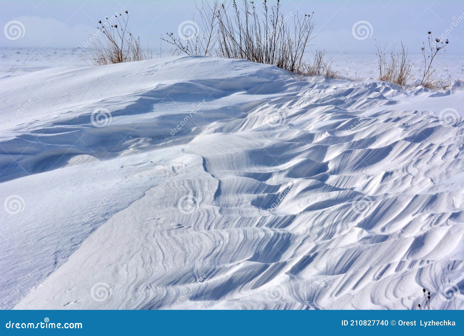 Winter Blizzard with Wind and Snow Stock Photo - Image of arctic ...