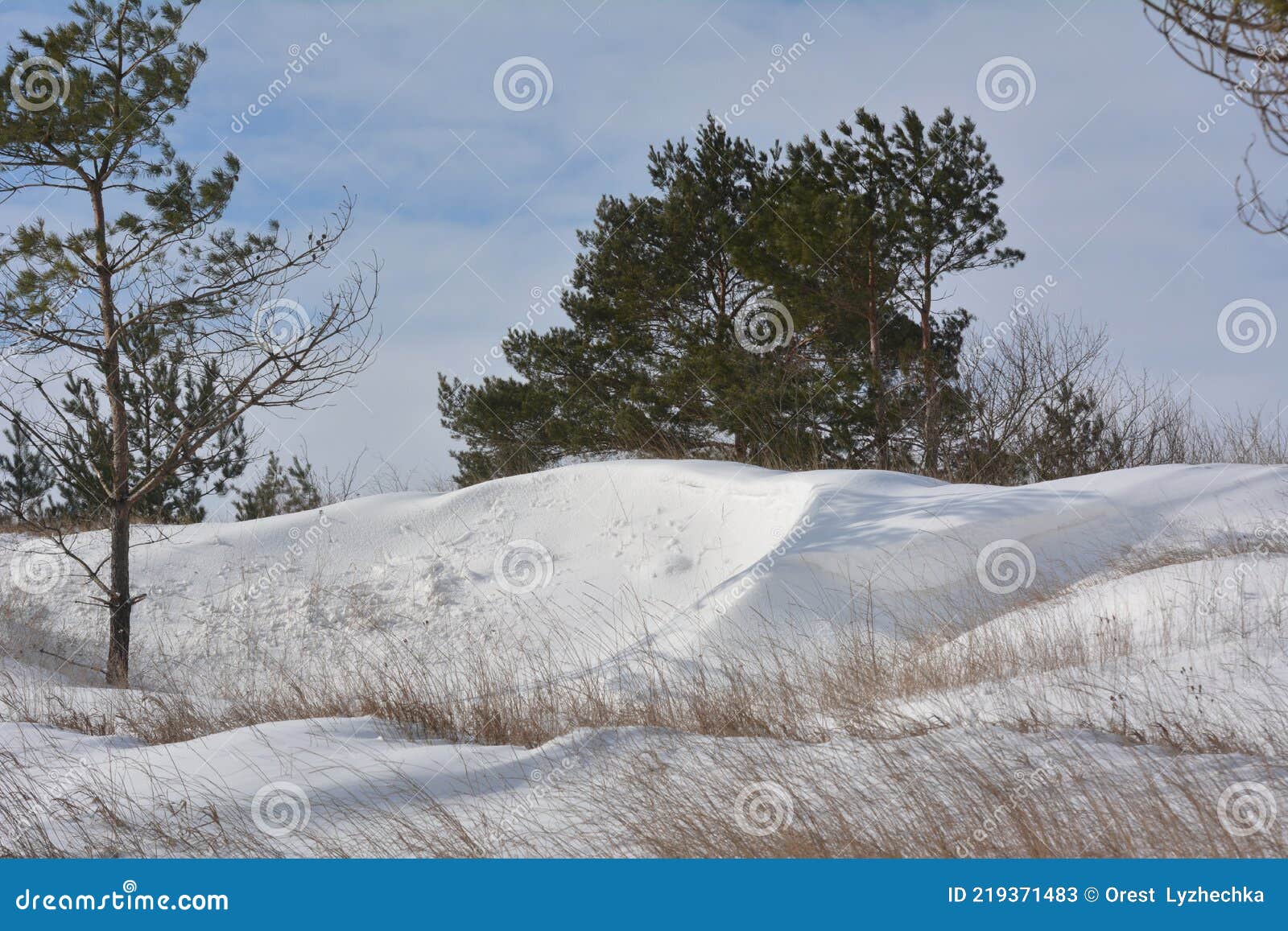 Winter Blizzard with Wind and Snow Stock Image - Image of damage ...