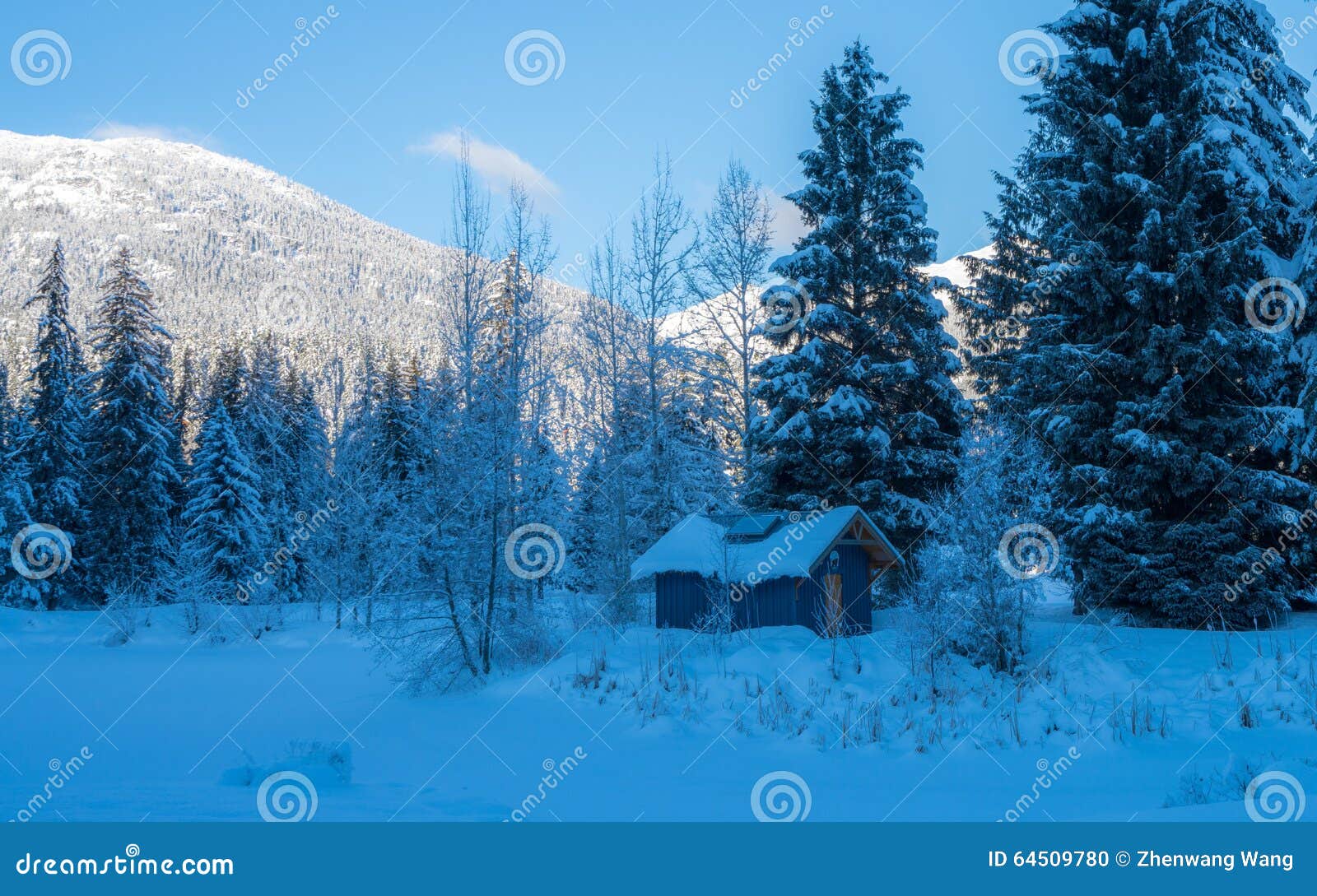Winter blue house stock photo. Image of pine, evergreen - 64509780
