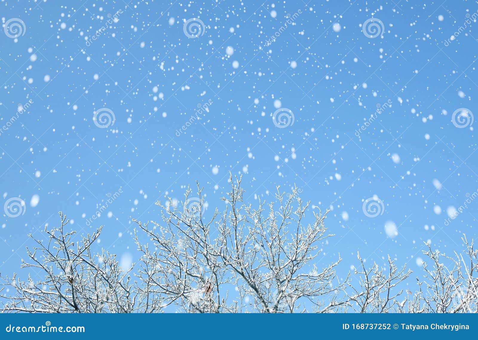 Winter Blue Sky Background with Snow and Trees Stock Photo - Image of ...