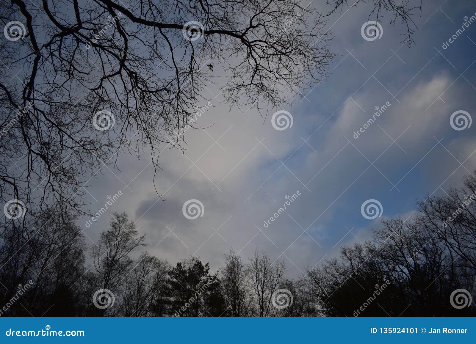 Winter Blue Sky with Clouds and Trees Stock Image - Image of winter ...