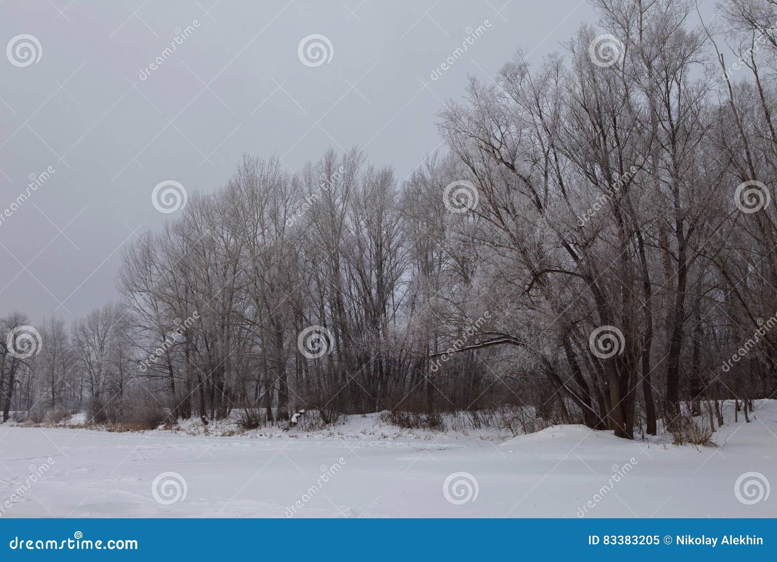 Winter stock image. Image of mountain, christmas, scenery - 83383205