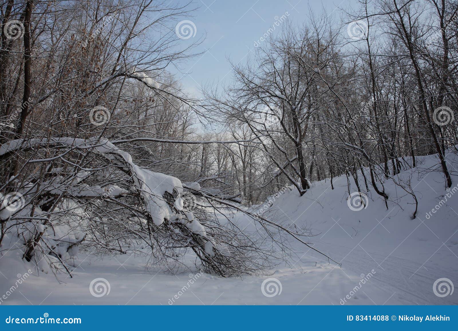Winter stock photo. Image of snow, cold, weather, landscape - 83414088