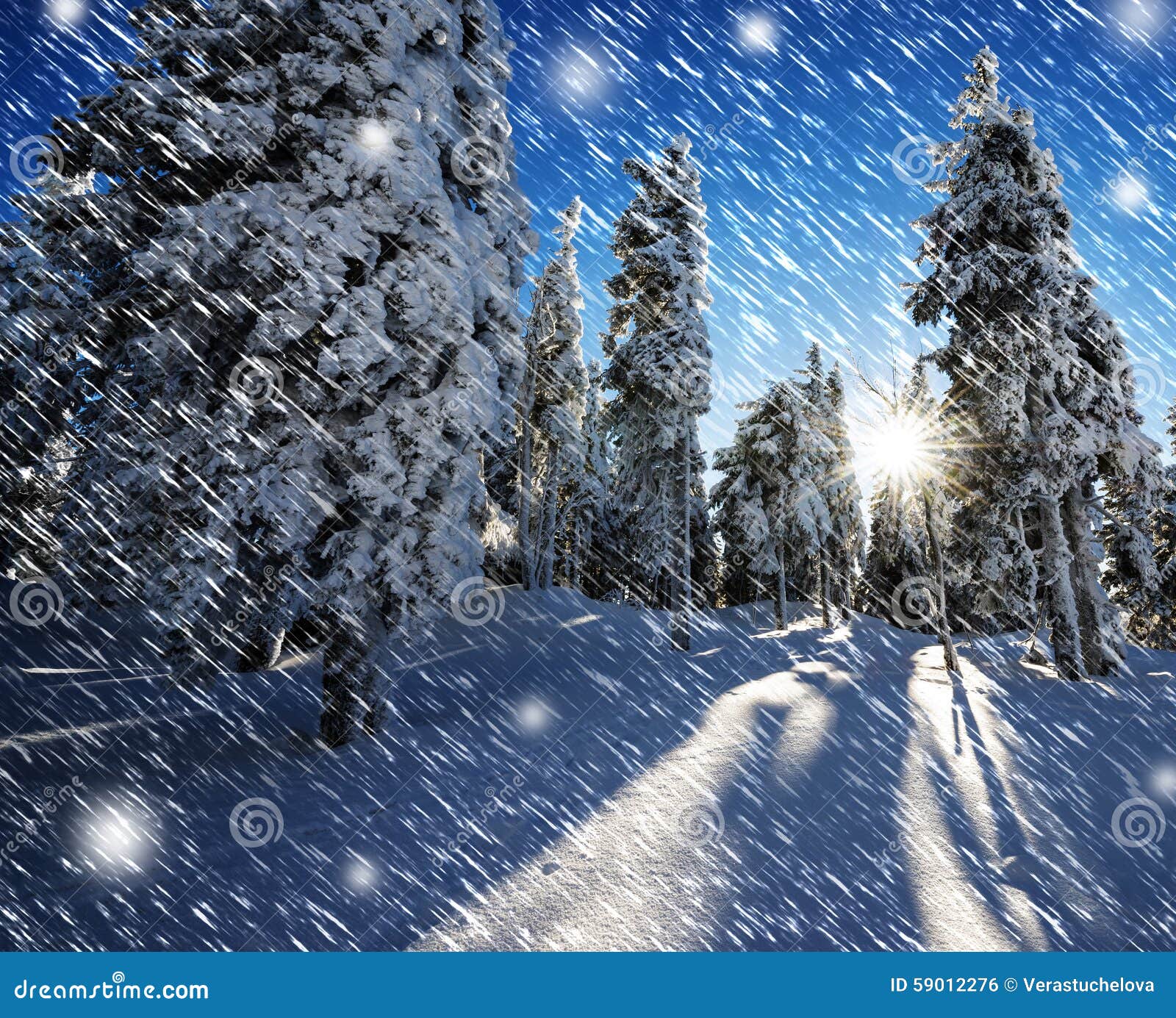 Winter stock photo. Image of country, christmas, rime - 59012276