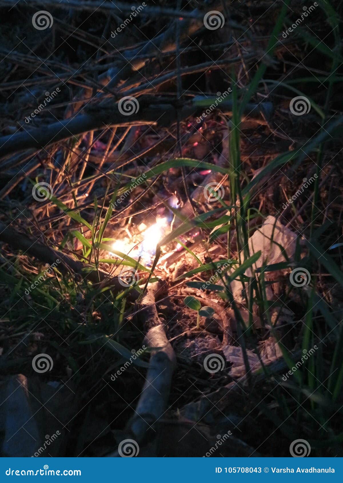 Winter fire stock image. Image of heat, jungle, grass - 105708043