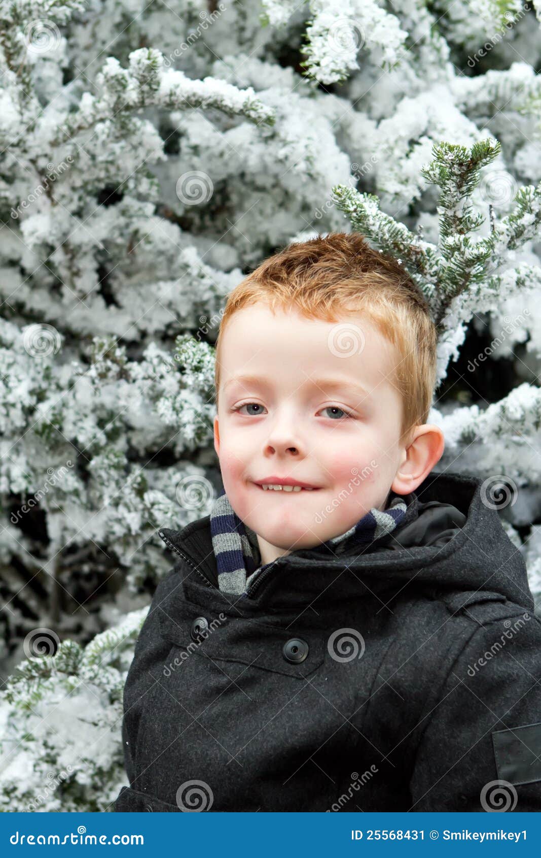 Winter boy stock image. Image of cold, tree, scene, white - 25568431