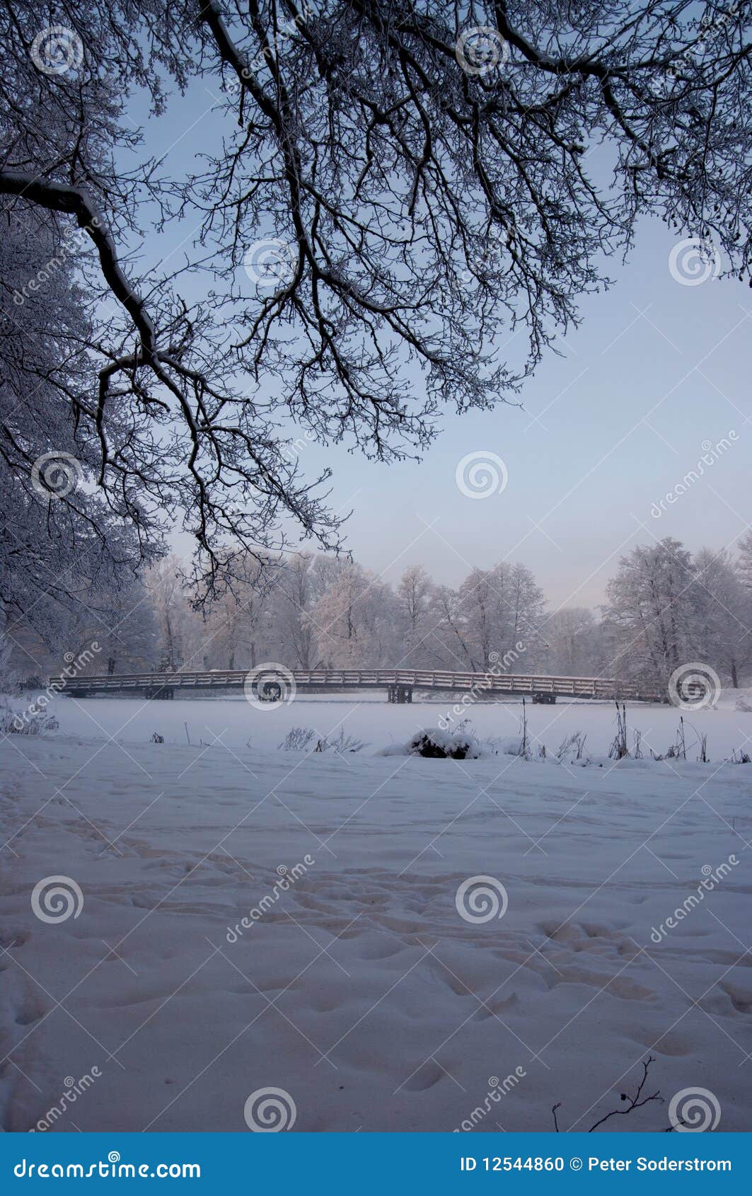 Winter bridge stock photo. Image of park, february, snowy - 12544860