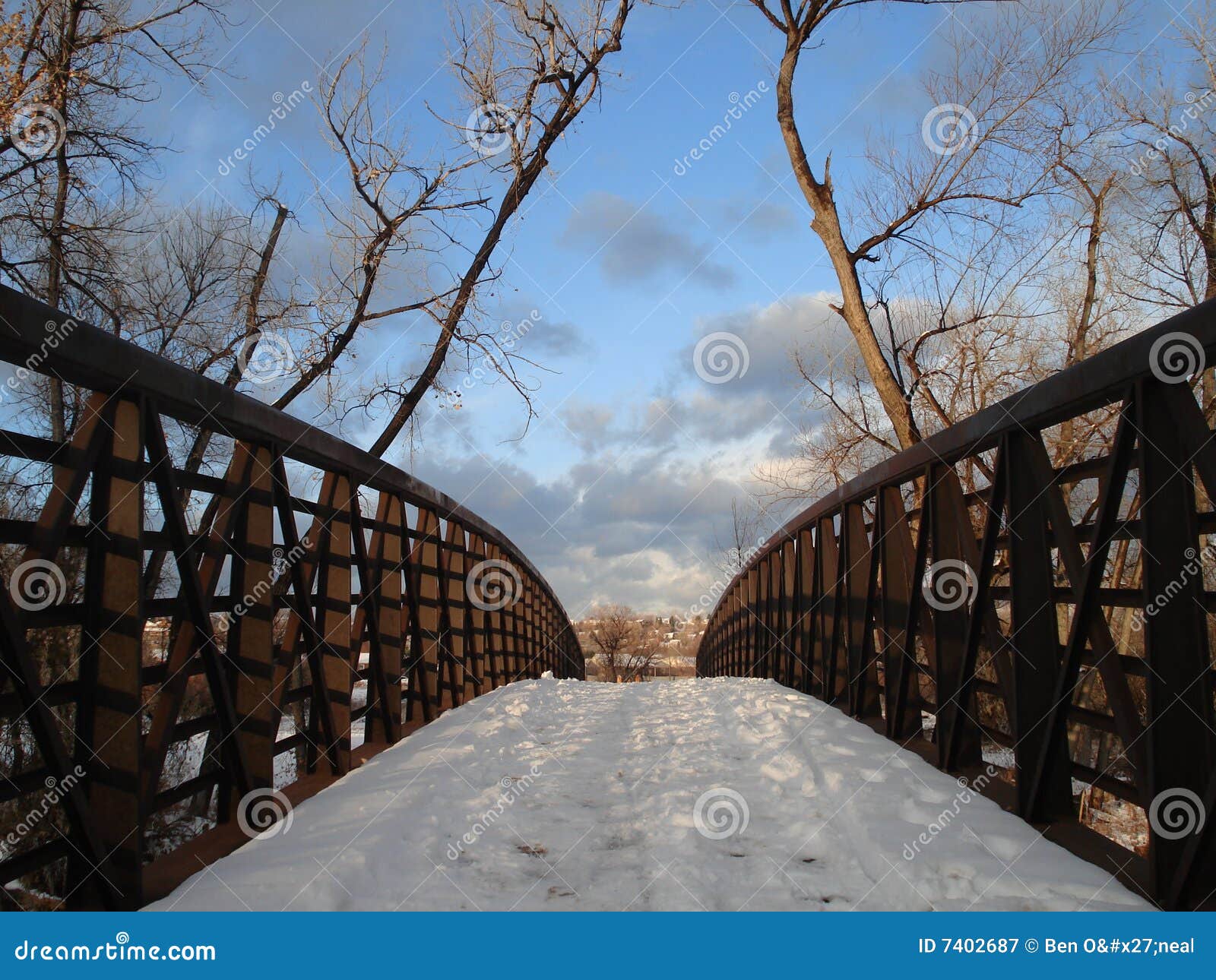 Winter Bridge stock image. Image of winter, branches, blue - 7402687