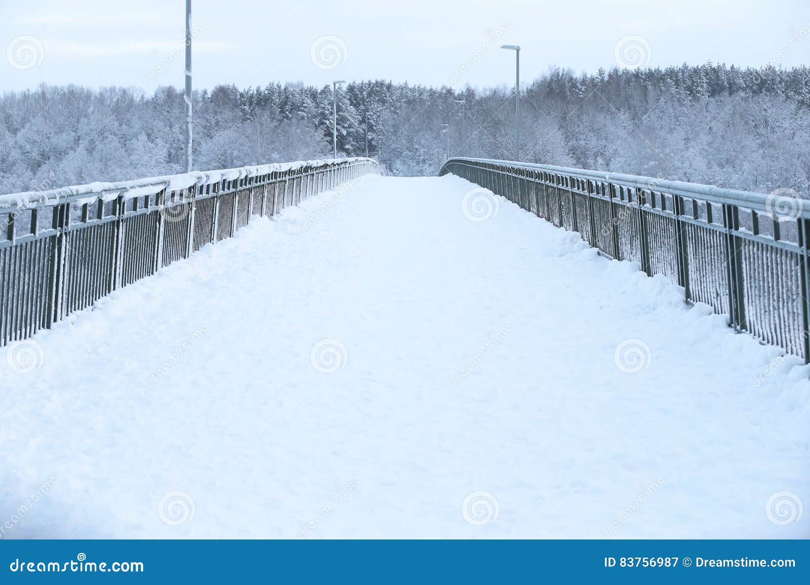 Winter on bridge stock image. Image of forest, close - 83756987