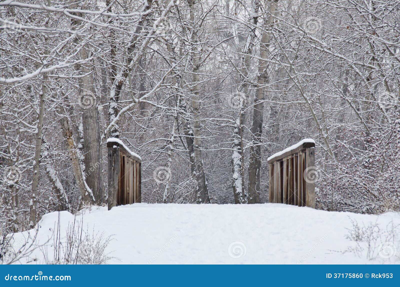Winter Bridge after a Fresh Snowfall Stock Photo - Image of bridge ...
