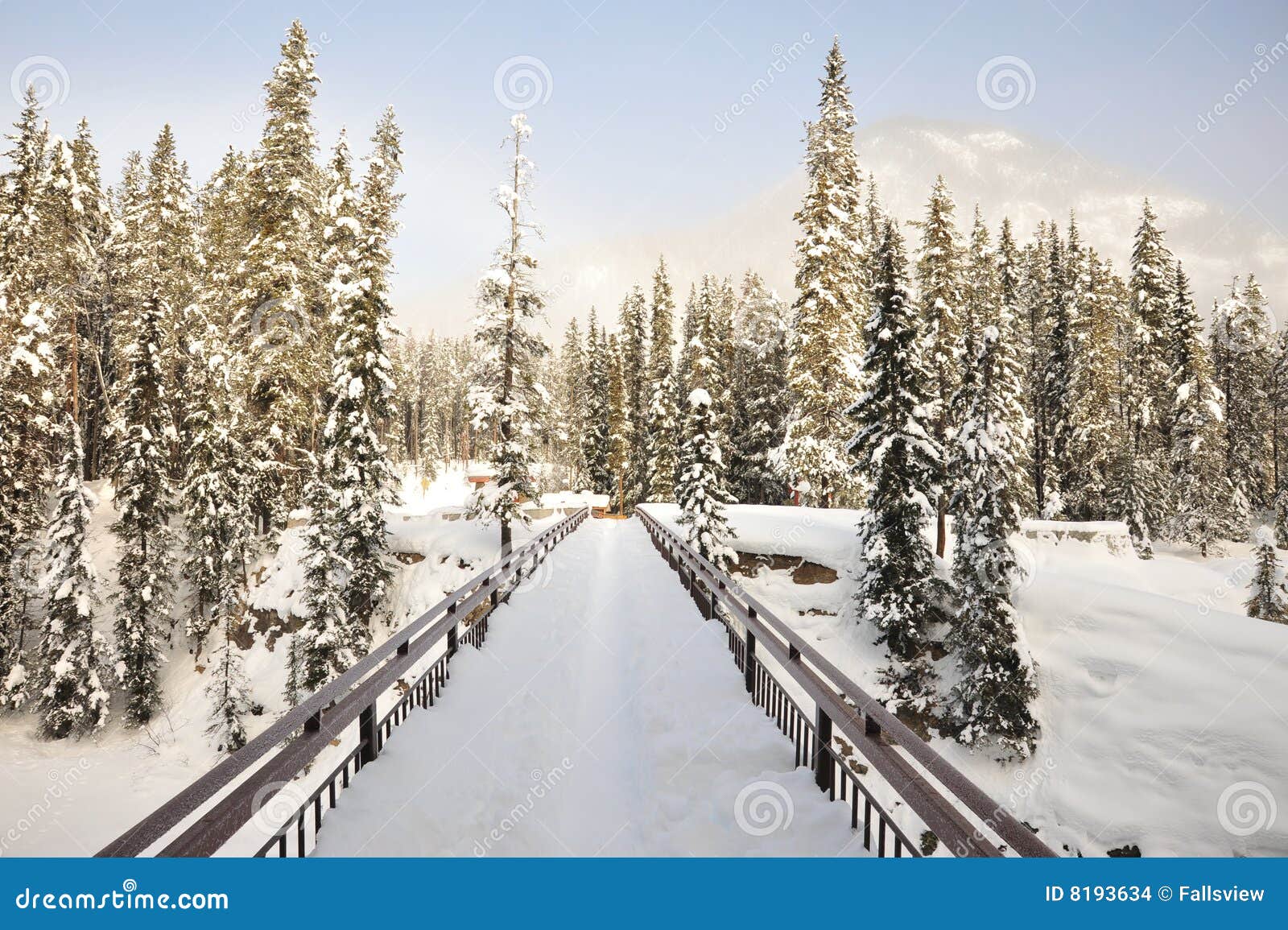 Winter Bridge in Snow Field Stock Photo - Image of forests, cold: 8193634