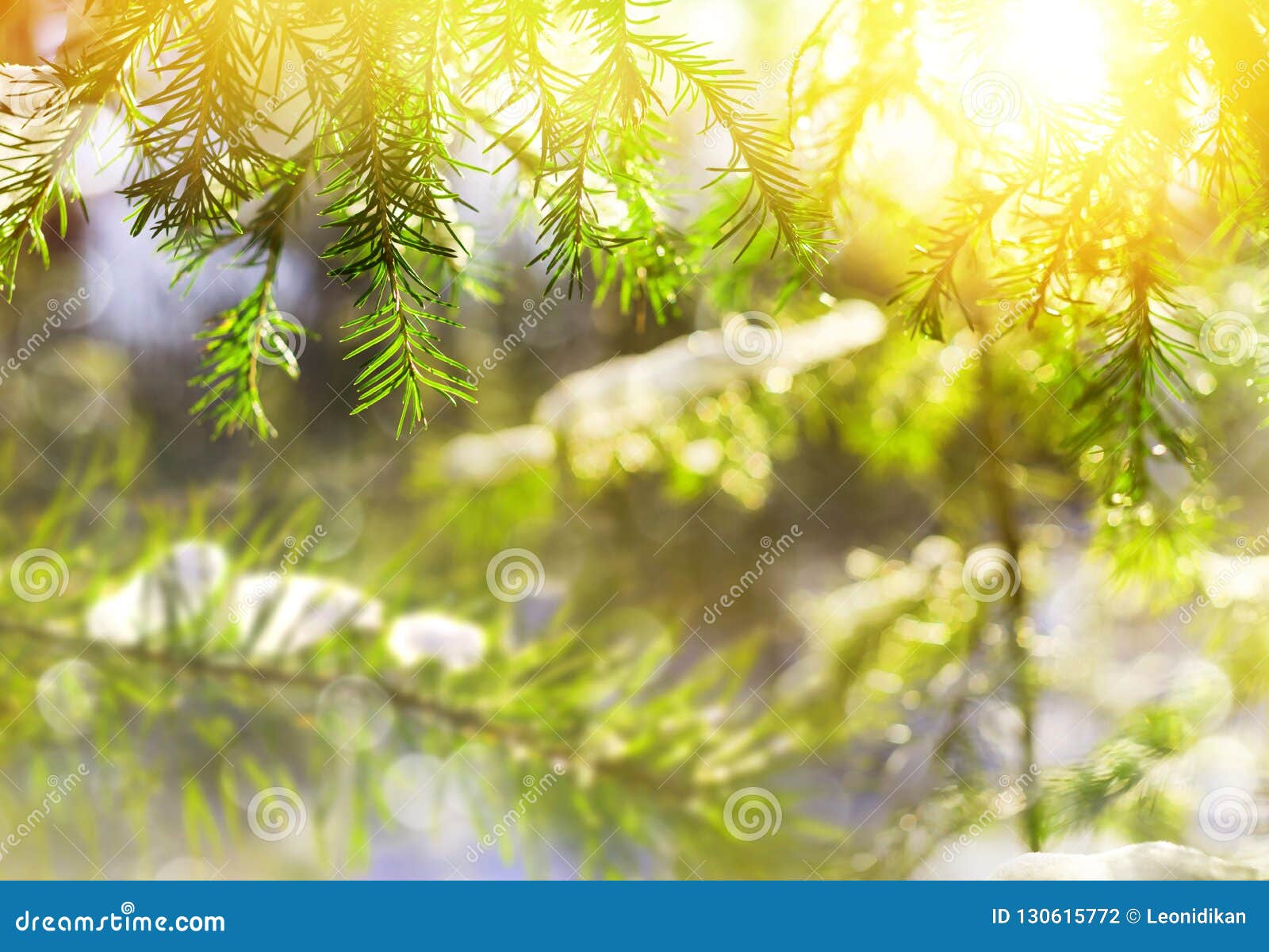 Winter bright background stock photo. Image of natural - 130615772