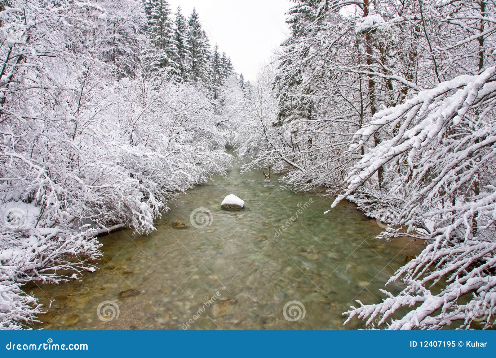Winter brook stock image. Image of flowing, cold, world - 12407195