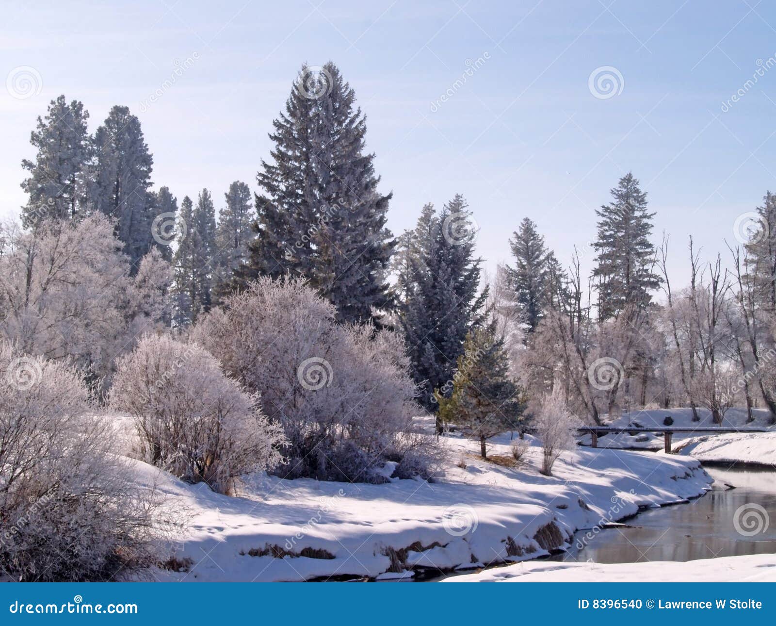 A Winter Brook stock photo. Image of winter, stream, forest - 8396540