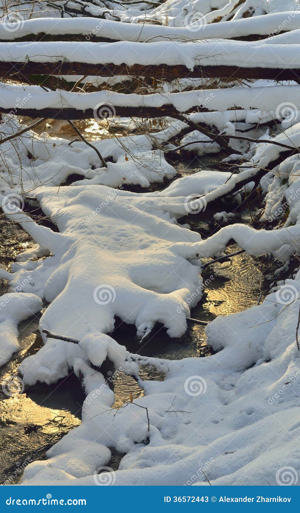 Winter brook stock image. Image of sunlight, forest, life - 36572443