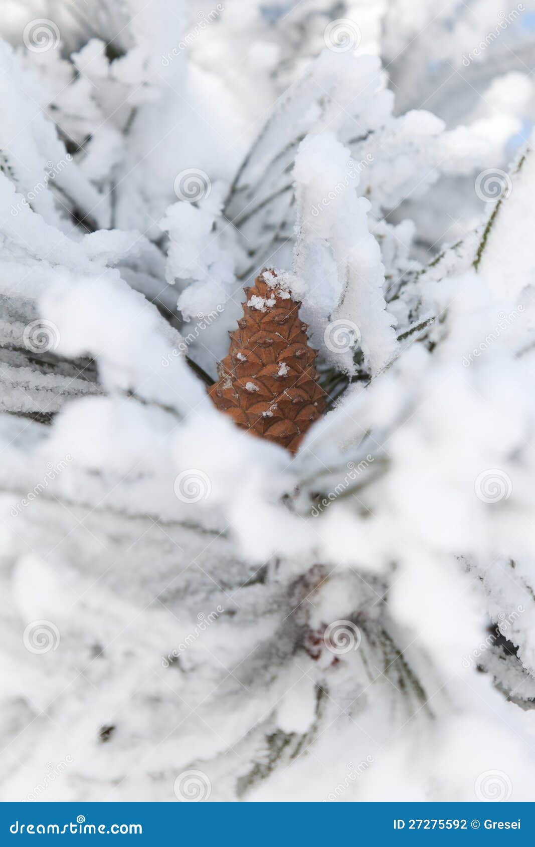 Winter bump stock photo. Image of color, object, frozen - 27275592