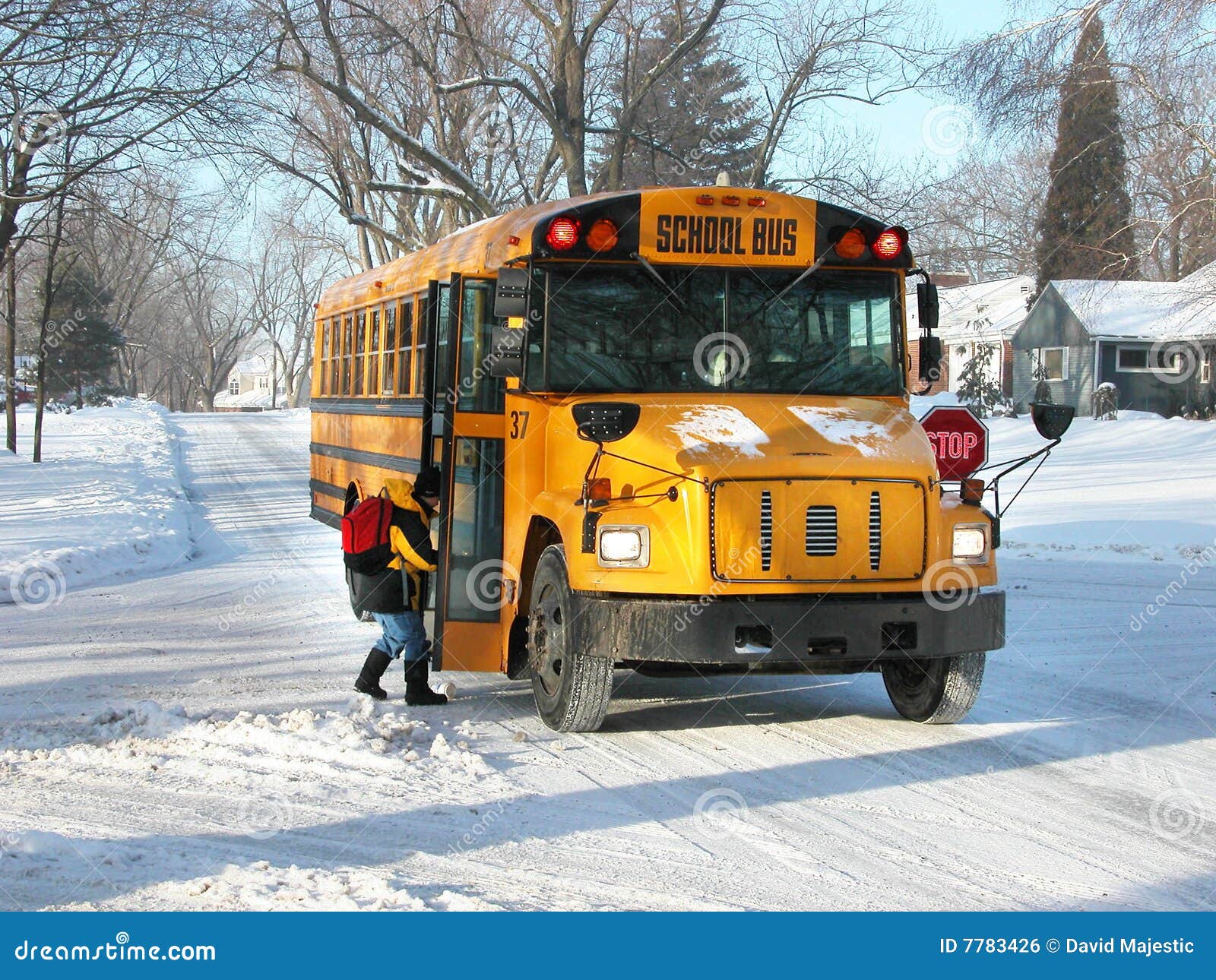 School Bus stock photo. Image of child, safety, traffic - 7783426