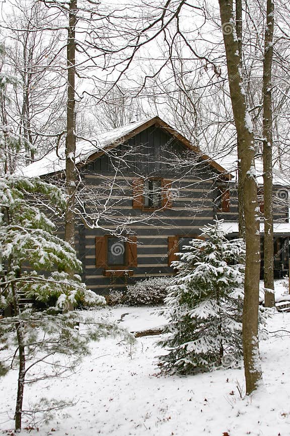 Winter cabin stock photo. Image of cold, house, nature - 1950746