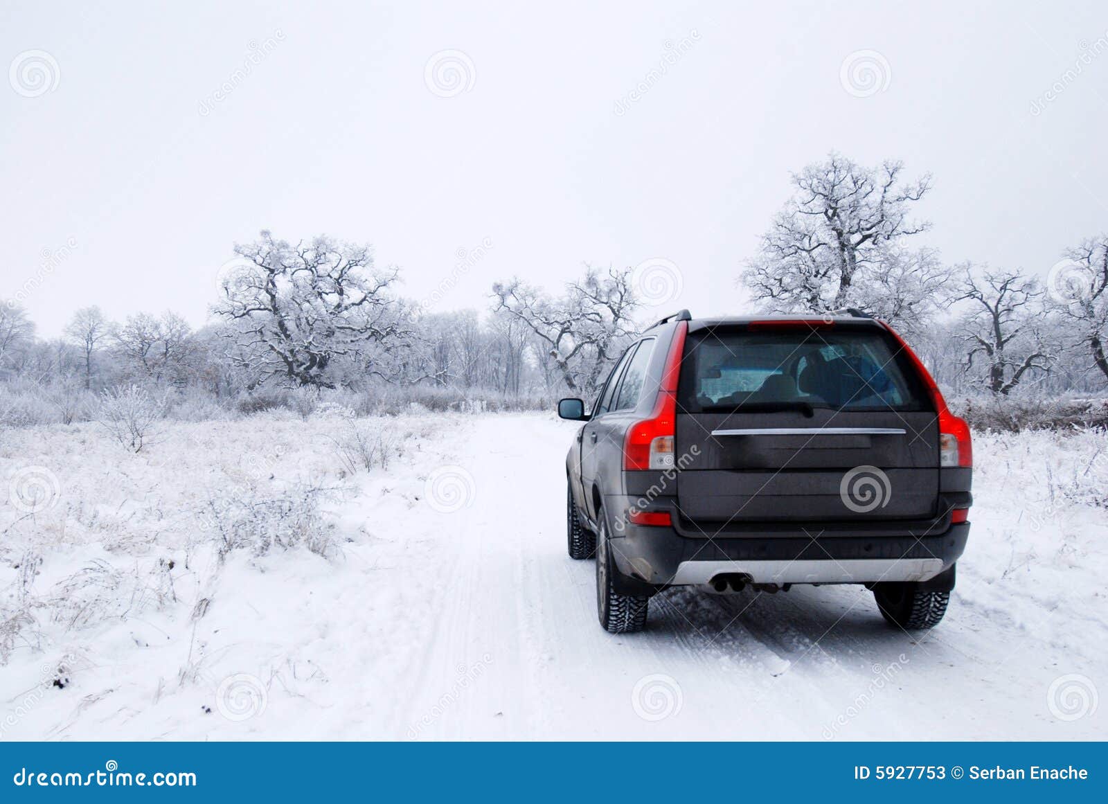 Winter car stock image. Image of sports, trees, nature - 5927753