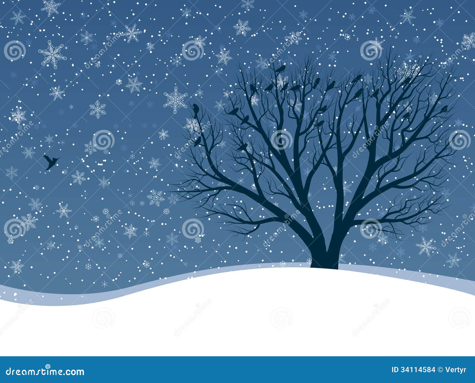 Winter Card of Snowfall with Trees. Stock Vector - Illustration of ...