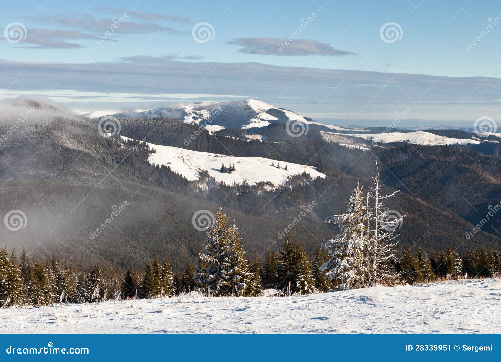 Winter Carpathian Mountains Stock Image - Image of forest, snowcapped ...