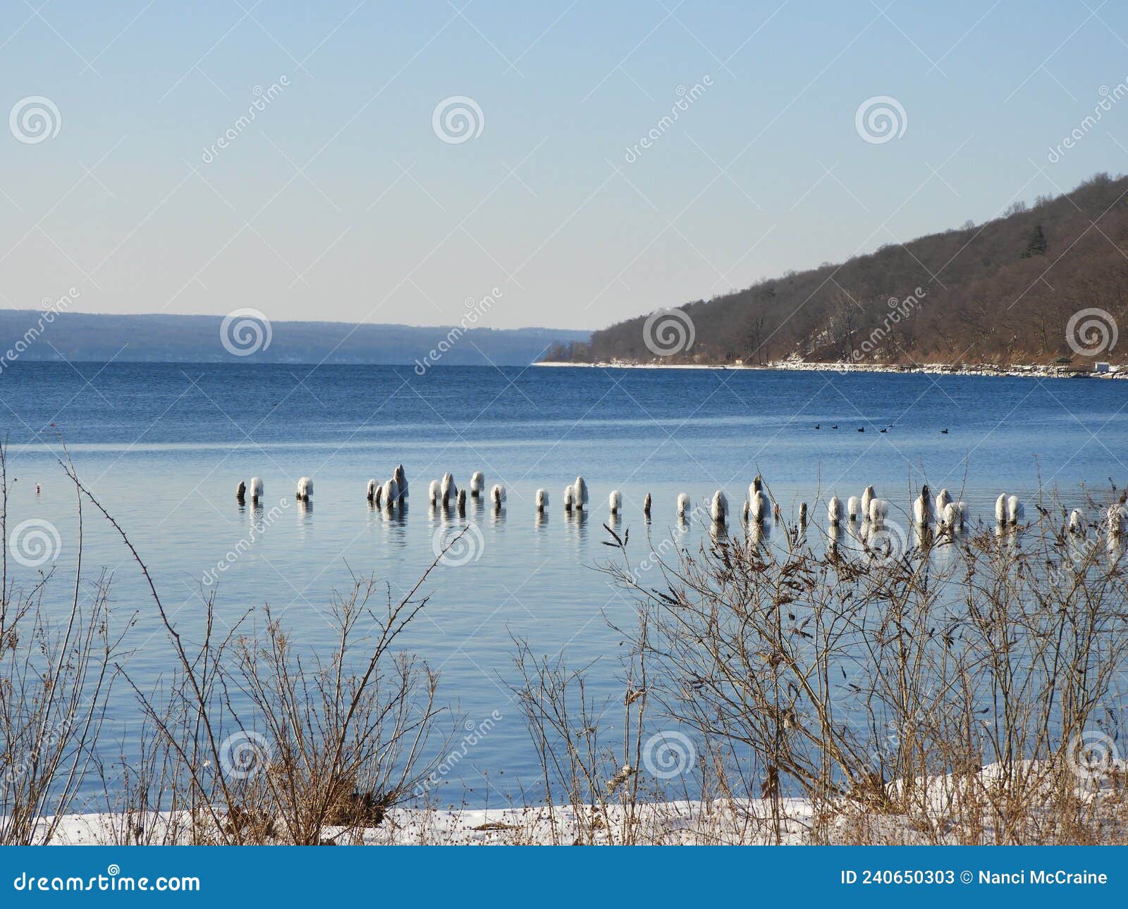 Winter Landscape on Blue Cayuga Lake Stock Image - Image of clear ...
