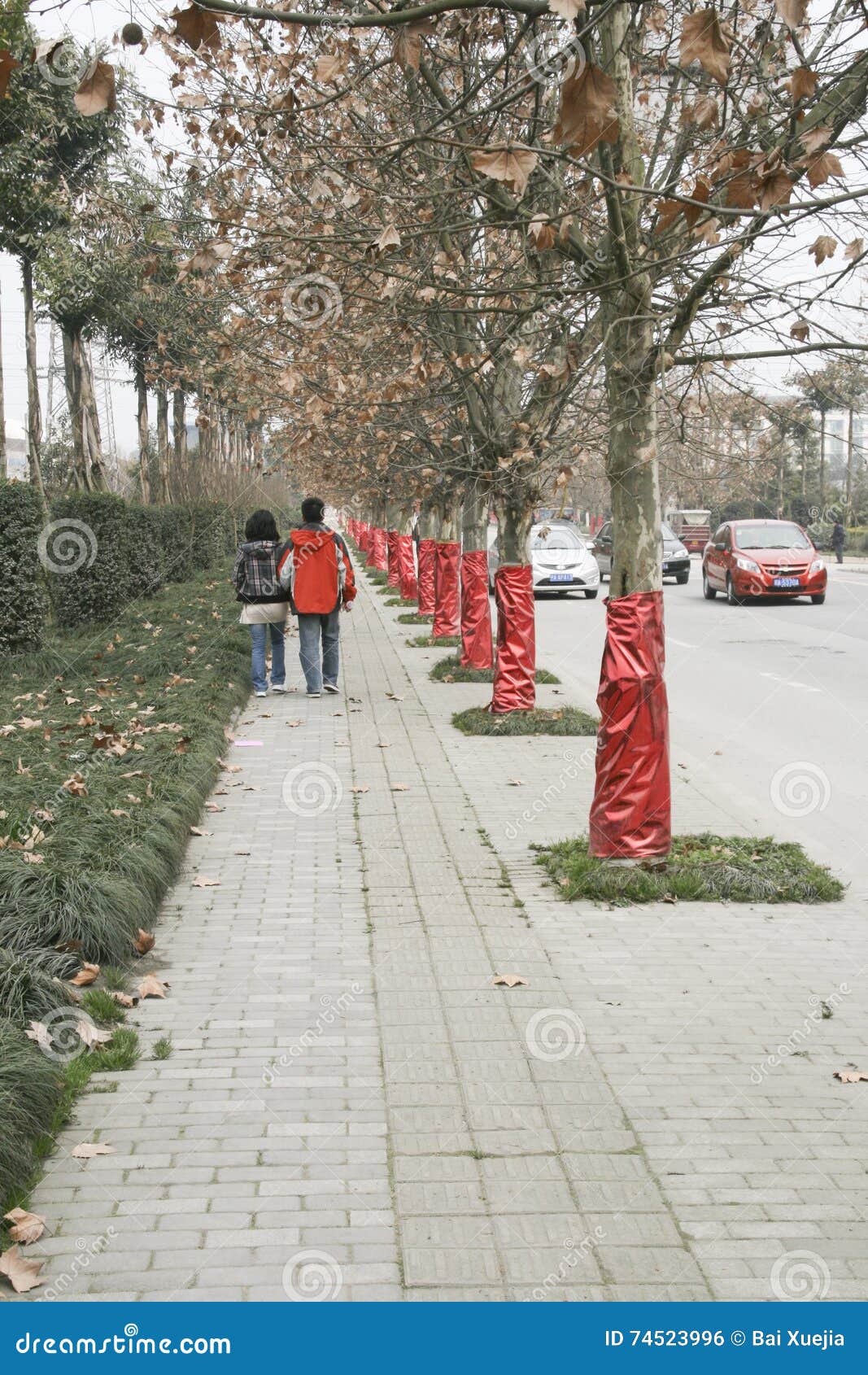 Winter in chengdu,china editorial photo. Image of landscape - 74523996