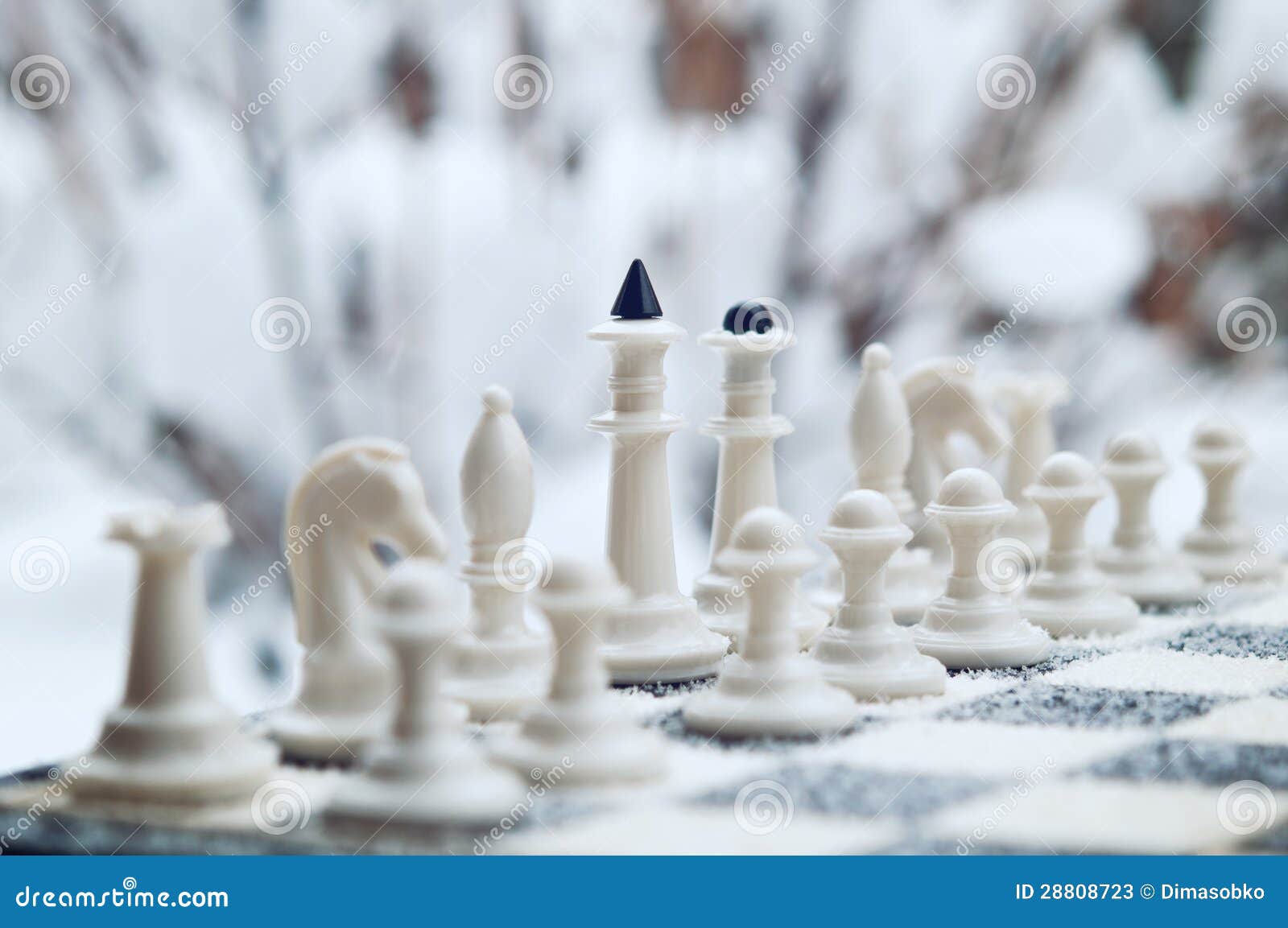 Winter chess pieces stock image. Image of object, freeze - 28808723