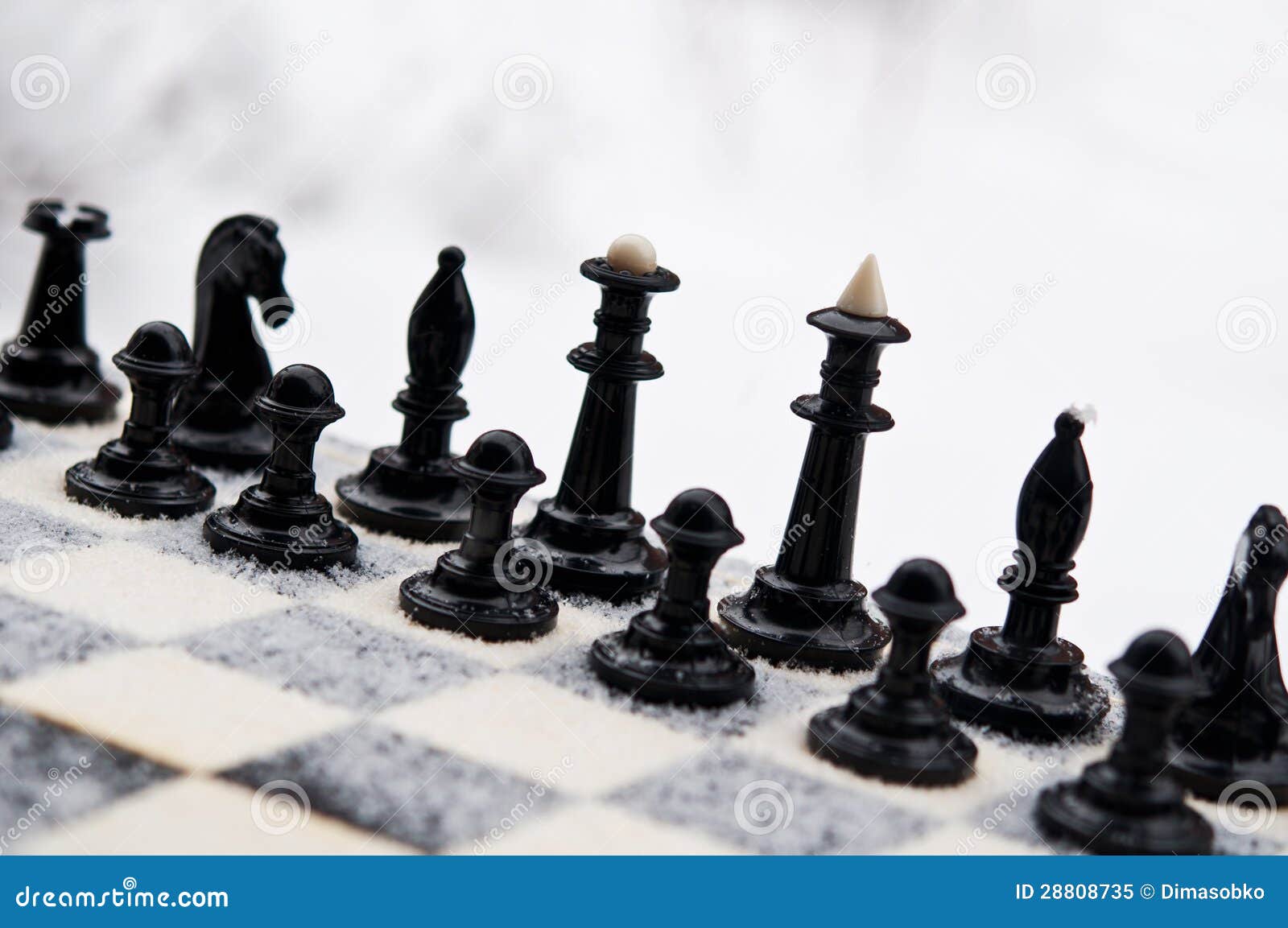 Winter chess pieces stock image. Image of chess, single - 28808735