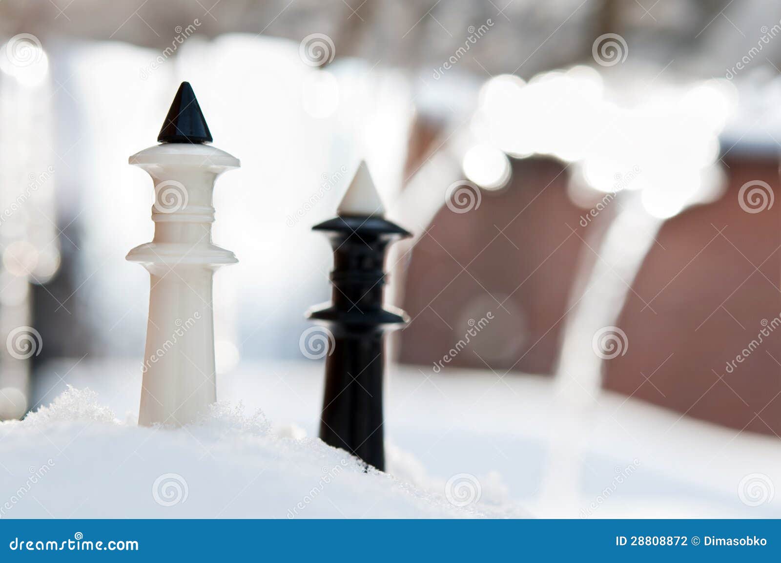 Winter chess pieces stock photo. Image of freeze, entertainment - 28808872