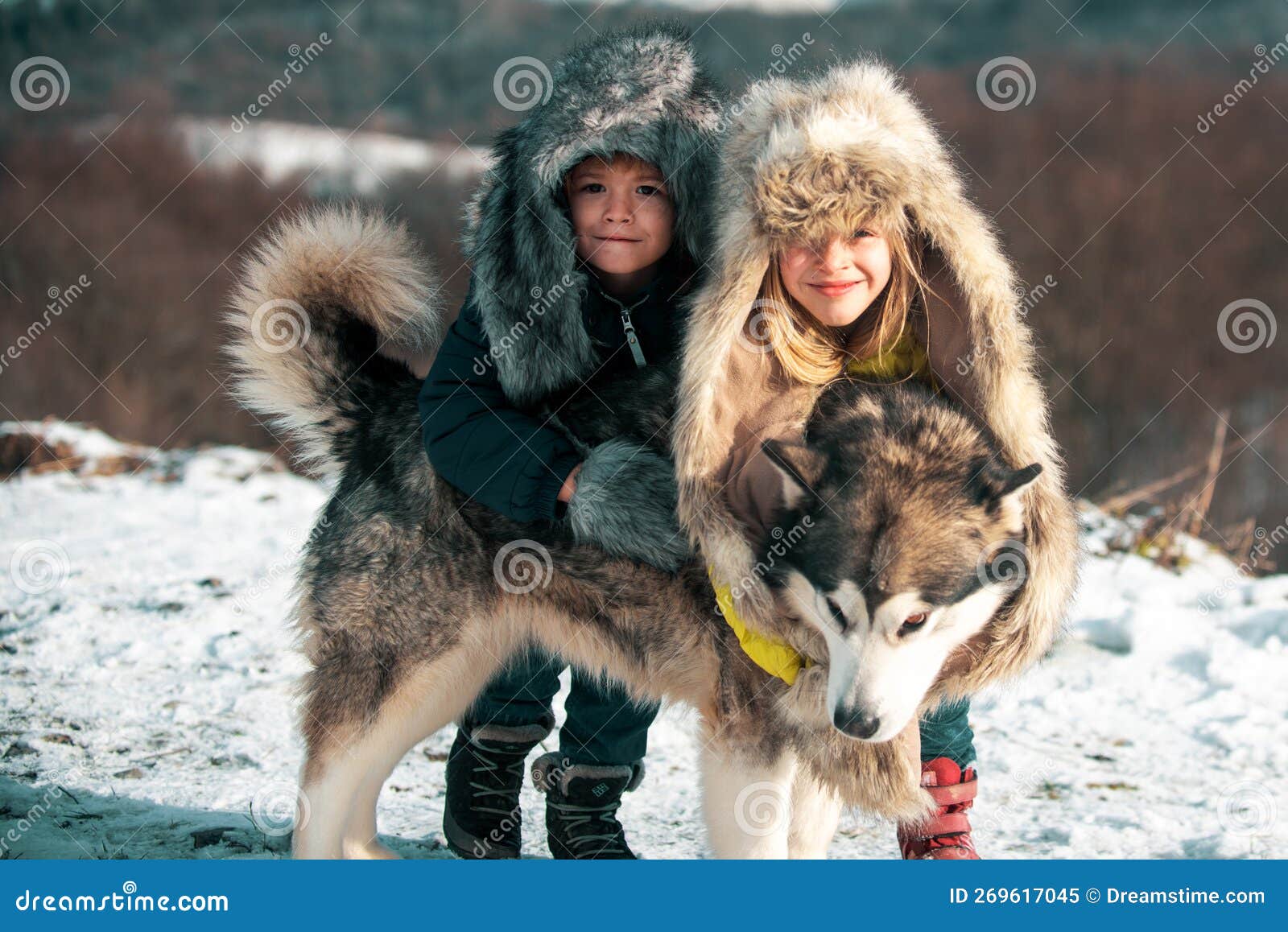 Winter Children Hug Husky in the Snow in Winter Forest. Stock Image ...