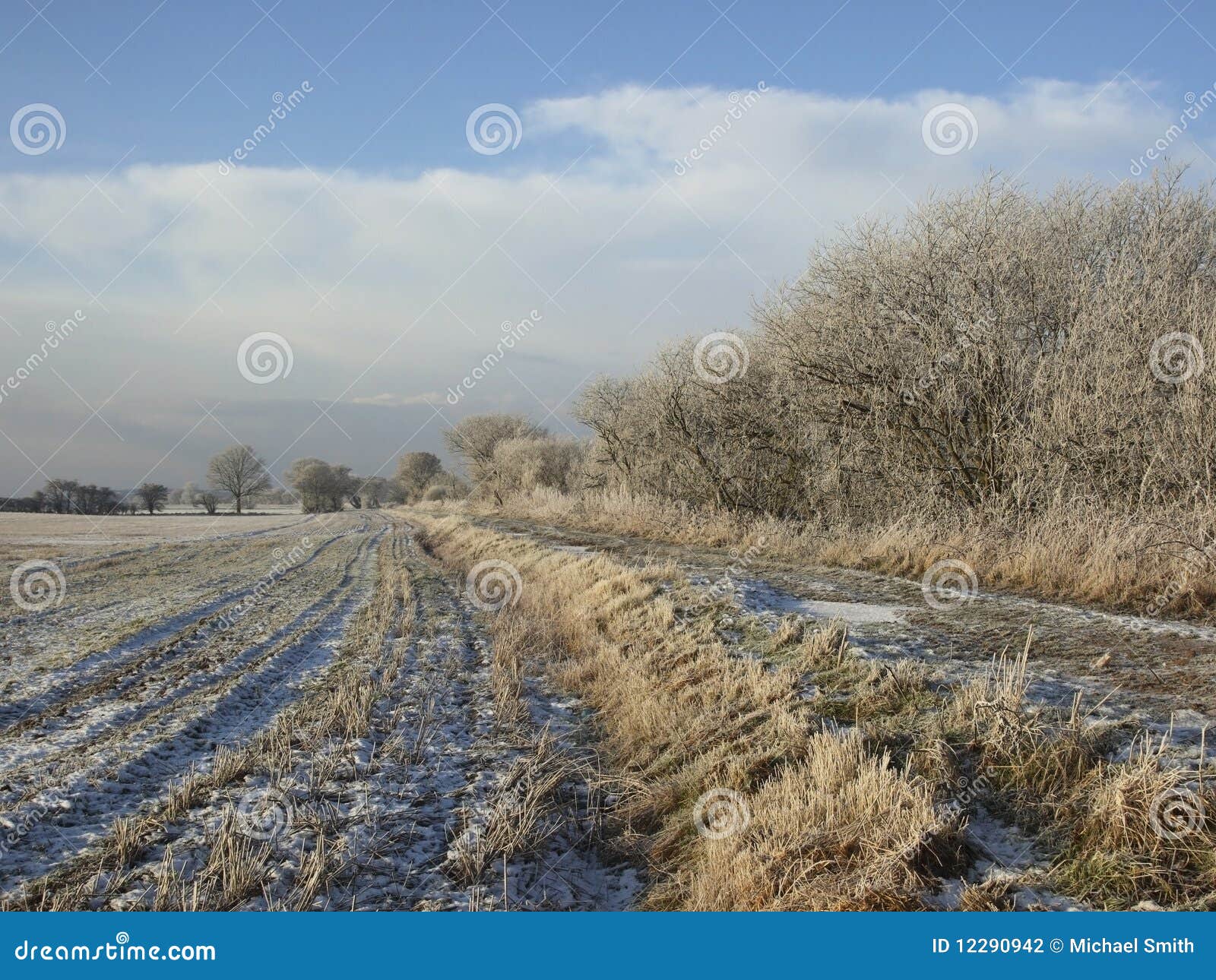 Winter chill stock photo. Image of cold, snow, bright - 12290942