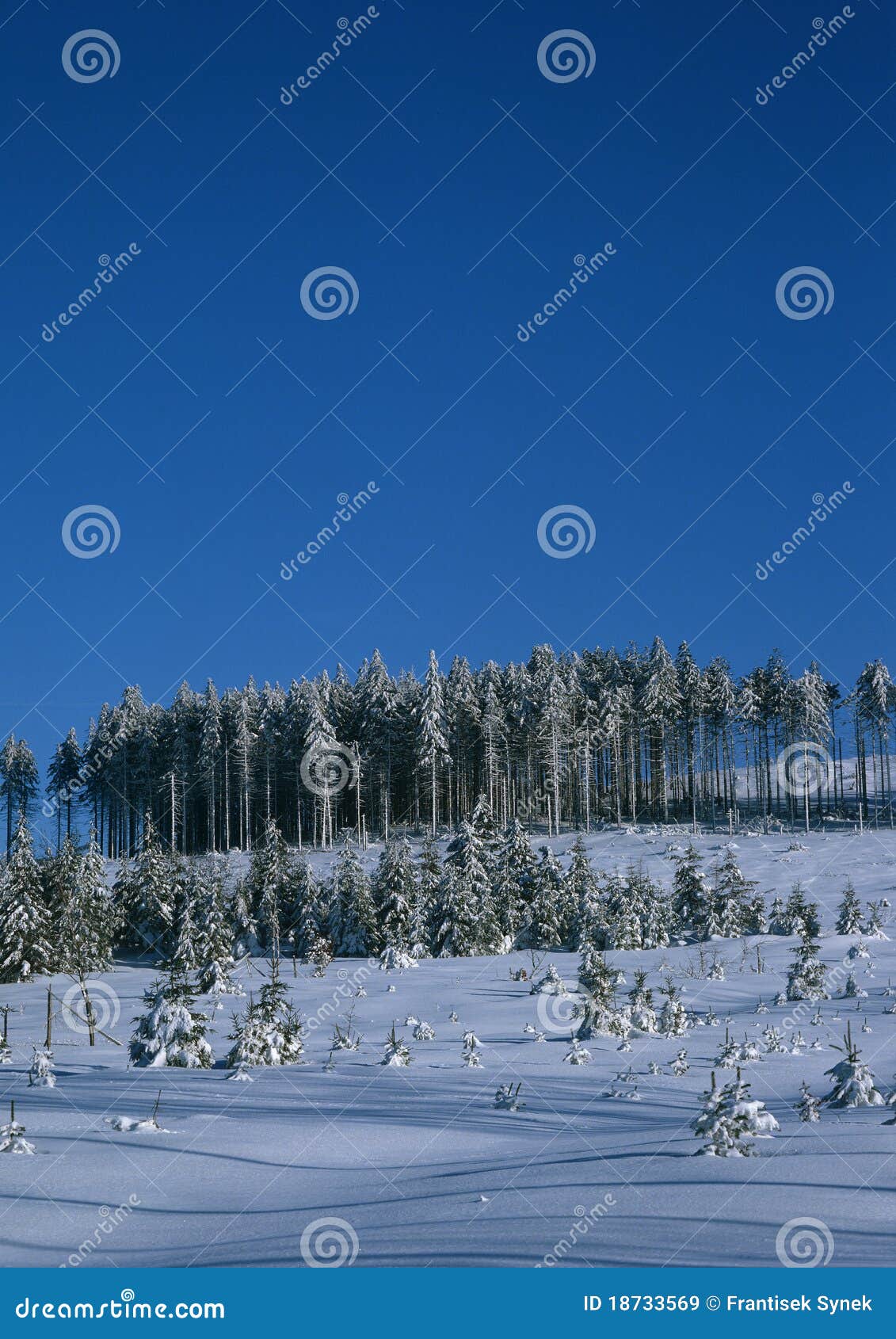 Winter chilling silence stock image. Image of outside - 18733569