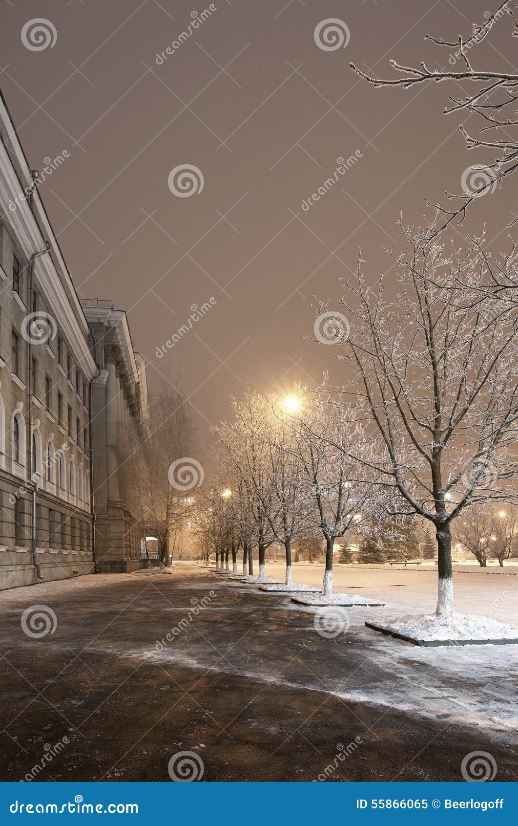 Winter city at night stock image. Image of freshness - 55866065