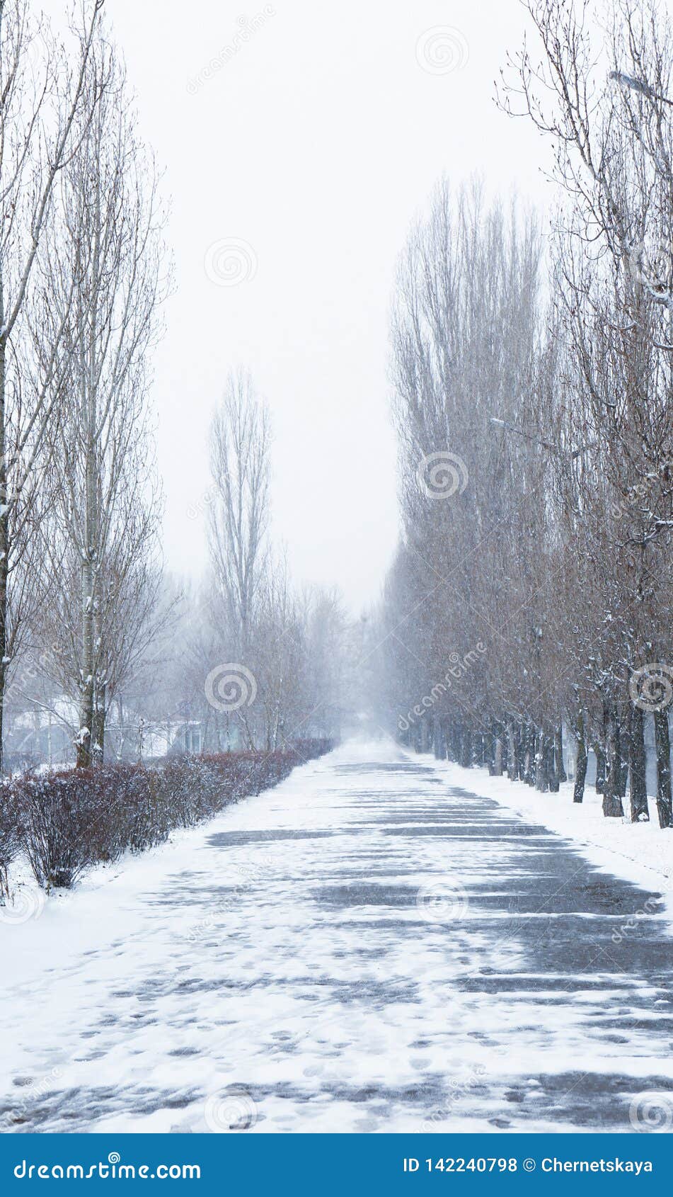 Winter city park with path stock photo. Image of january - 142240798