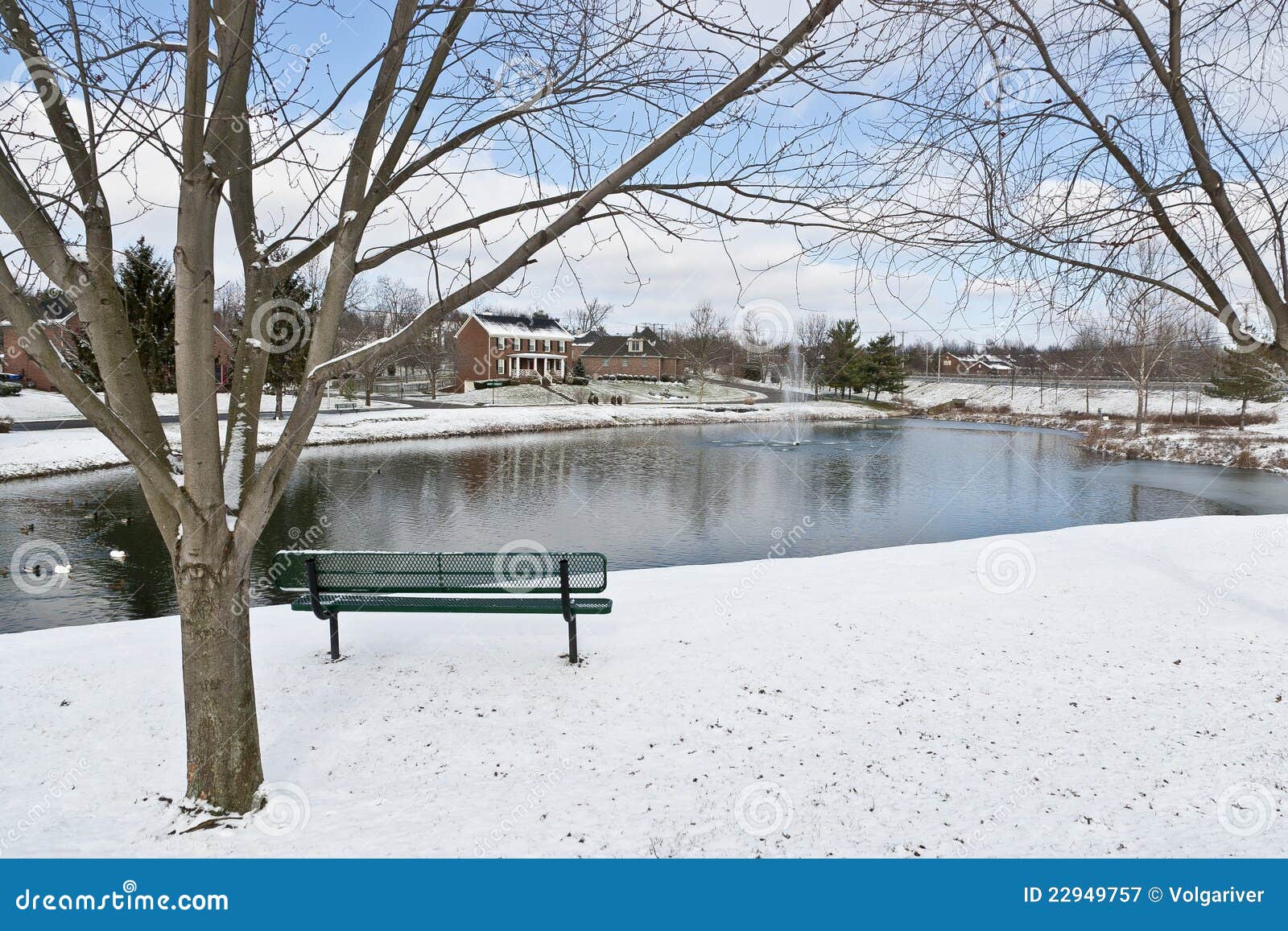 Winter City Scene with a Bench Near Pond Stock Image - Image of ...