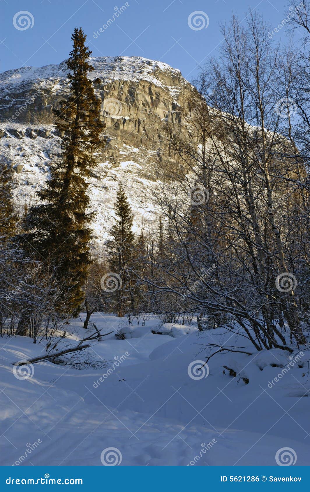 Winter cliff stock photo. Image of karelia, khibiny, rock - 5621286