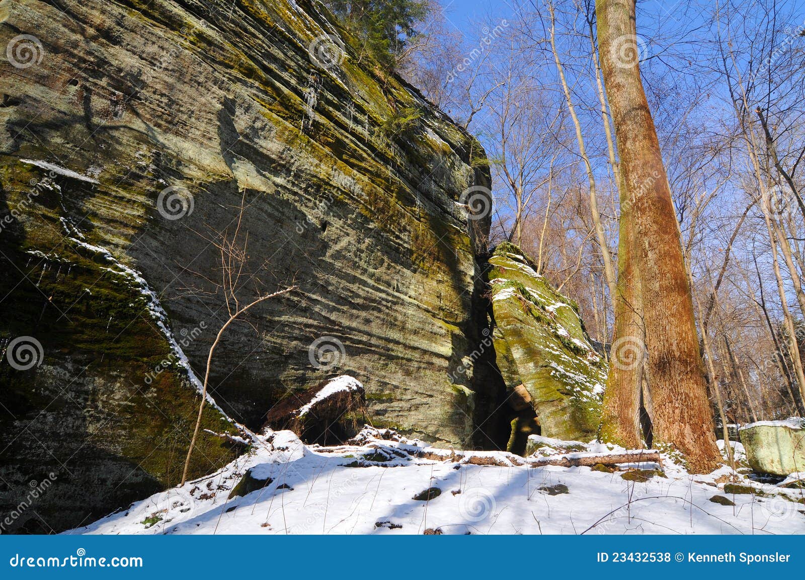 Winter cliffs stock photo. Image of trees, forest, tree - 23432538