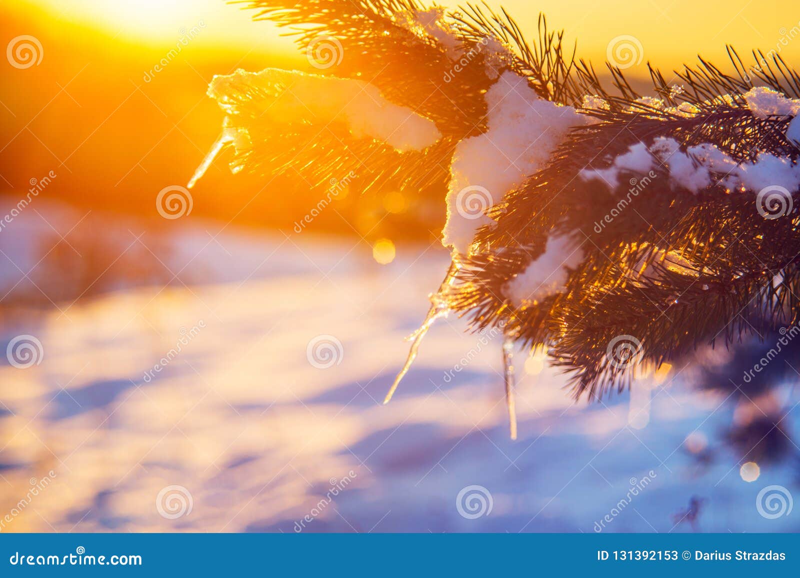 Winter Closeup of Sunrise Orange Light Stock Image - Image of december ...