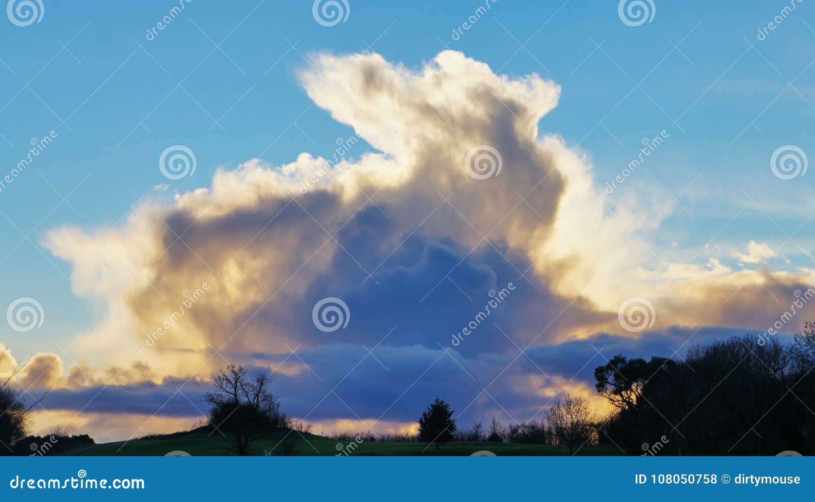 An emerging rabbit cloud.. stock photo. Image of back - 108050758