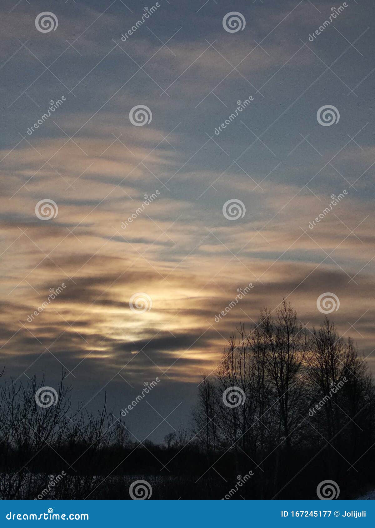 Winter cloudy sky stock image. Image of dark, cold, trees - 167245177