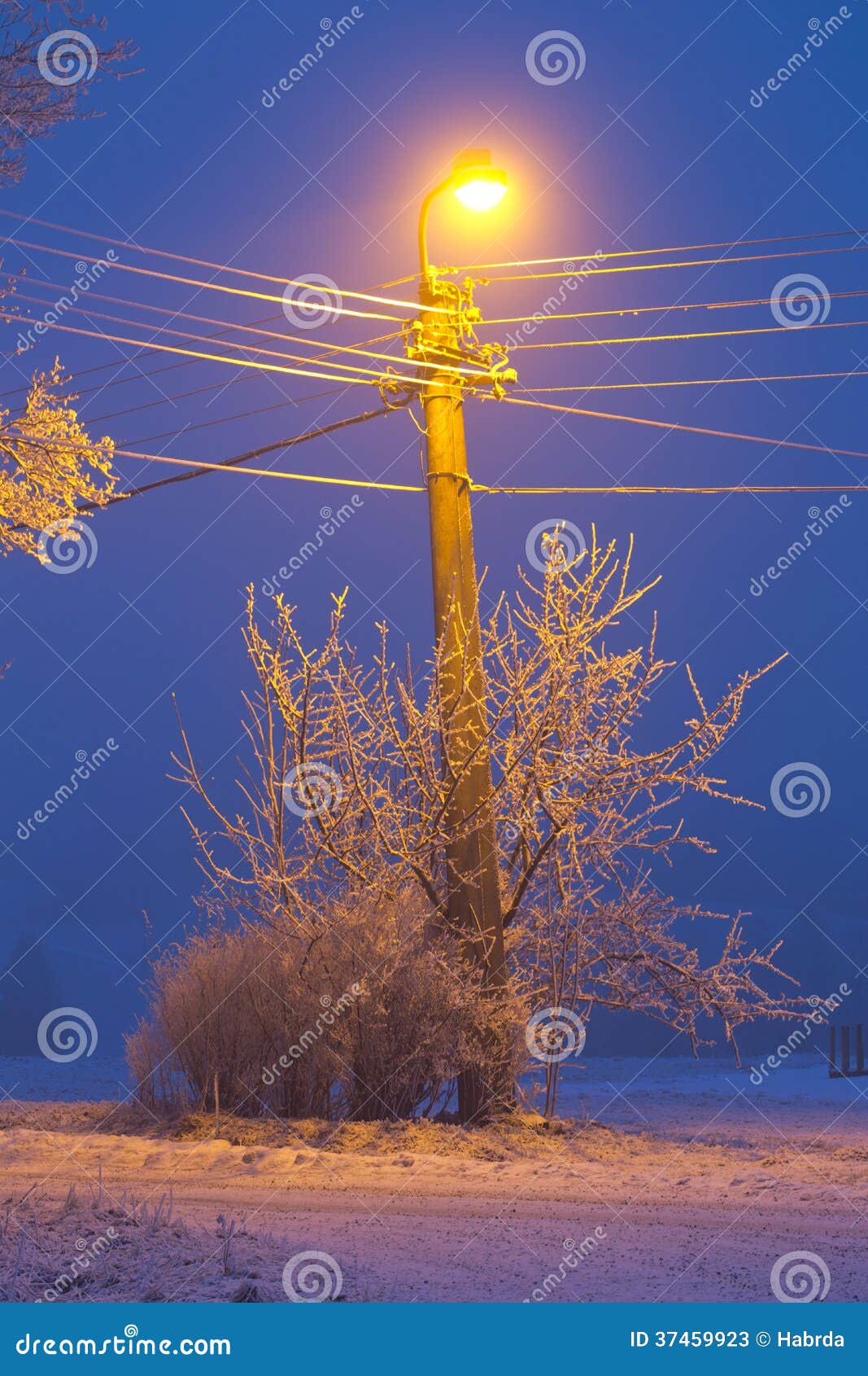 Winter Cold Night with Lamp Stock Image - Image of city, weather: 37459923
