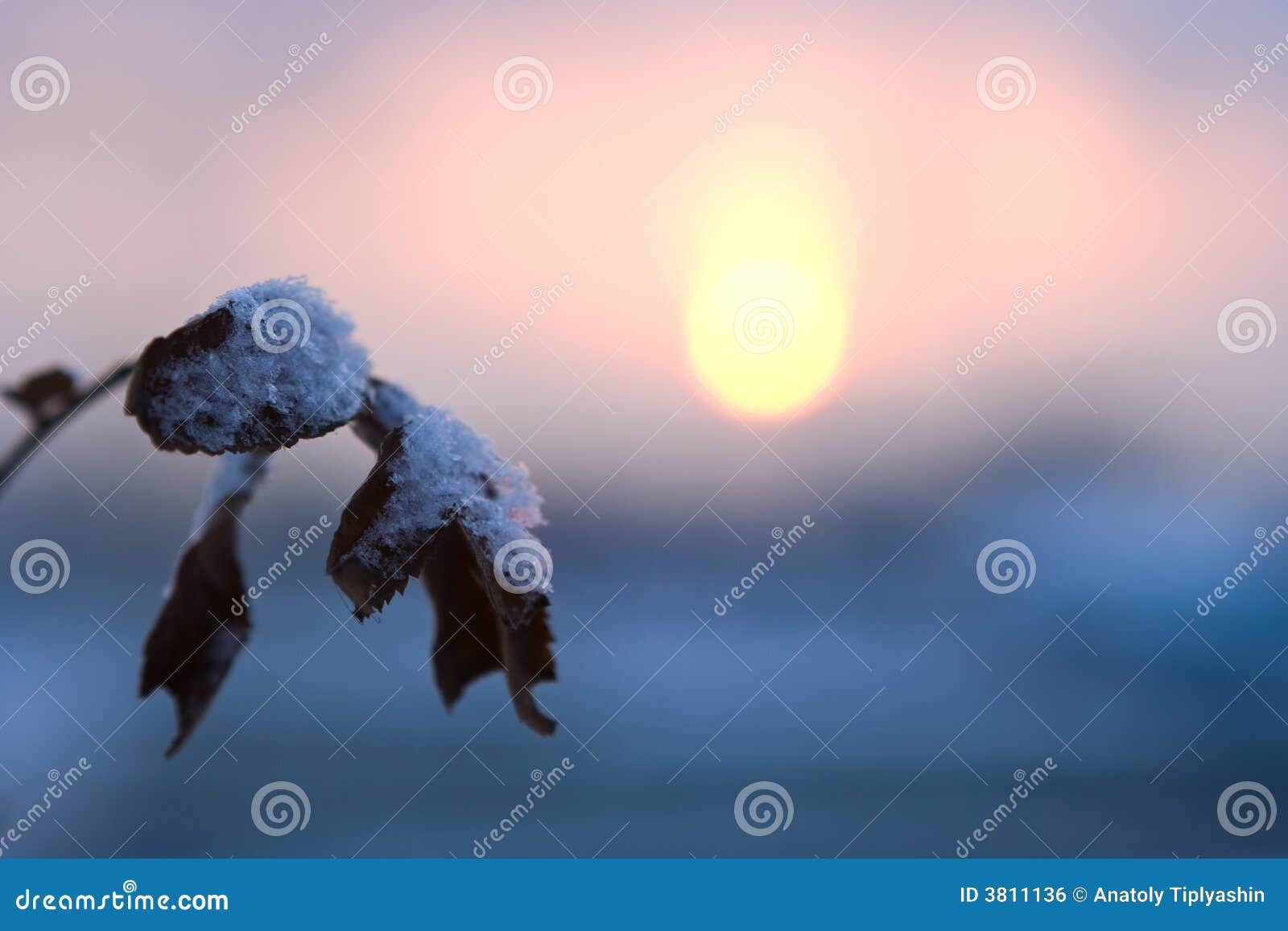 Winter cold sunset stock photo. Image of yellow, vapor - 3811136