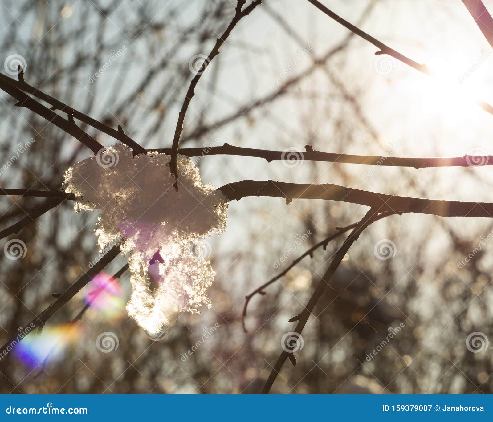 Winter Cold Weather and Sun Reflections Stock Image - Image of cold ...